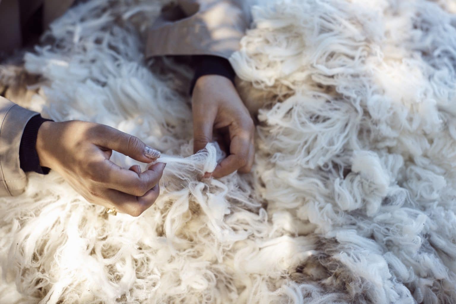 Merino Wool: features, uses and sustainability - Lana Gatto