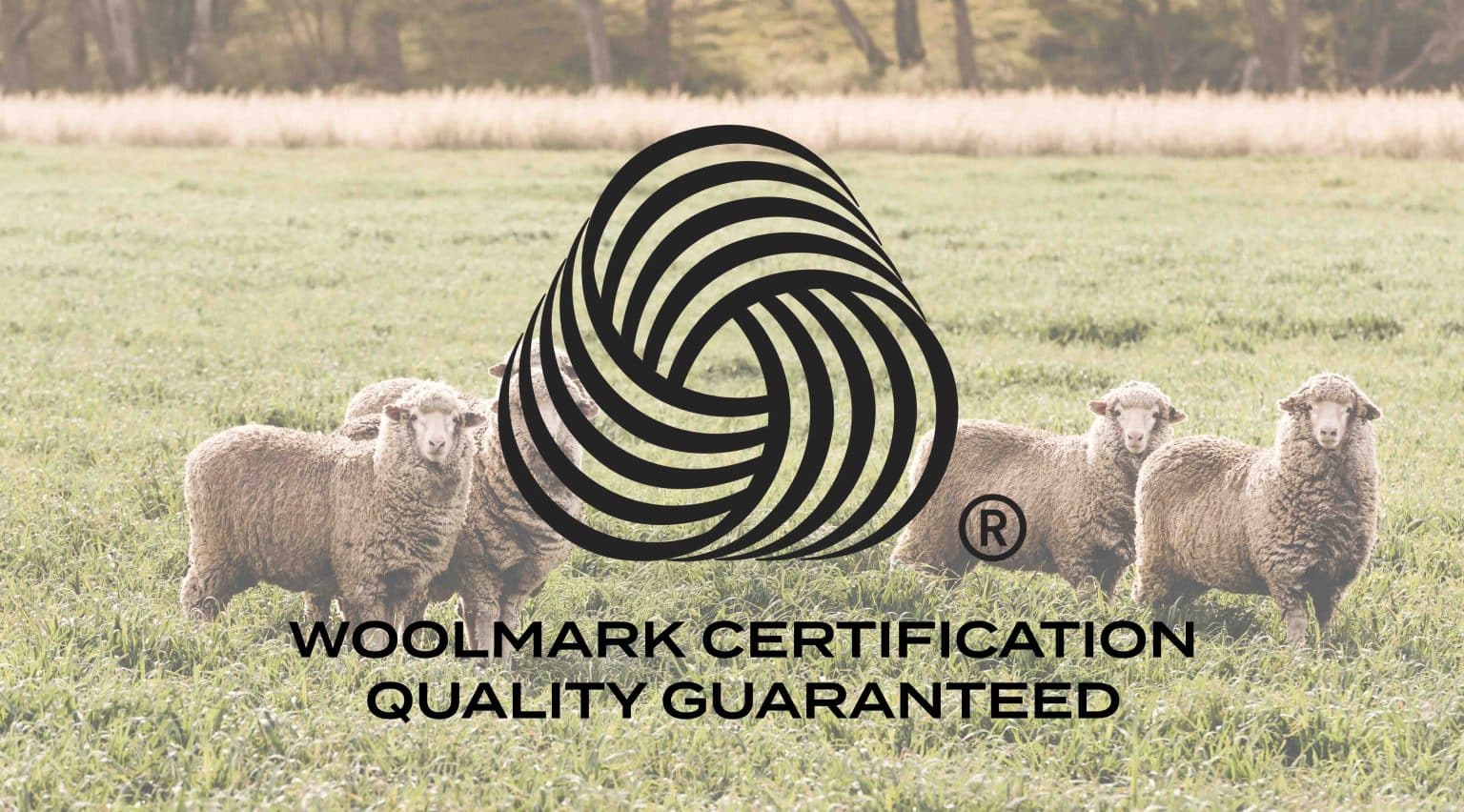 Merino Wool: features, uses and sustainability - Lana Gatto