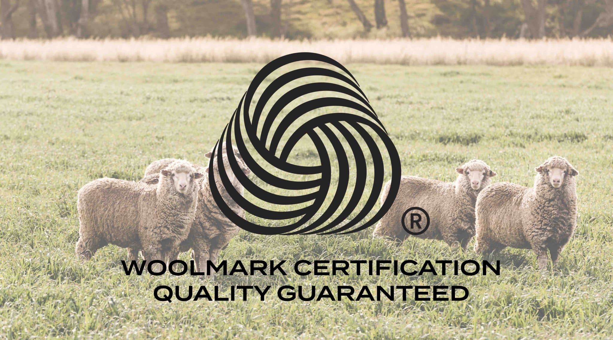 Merino Wool: features, uses and sustainability - Lana Gatto